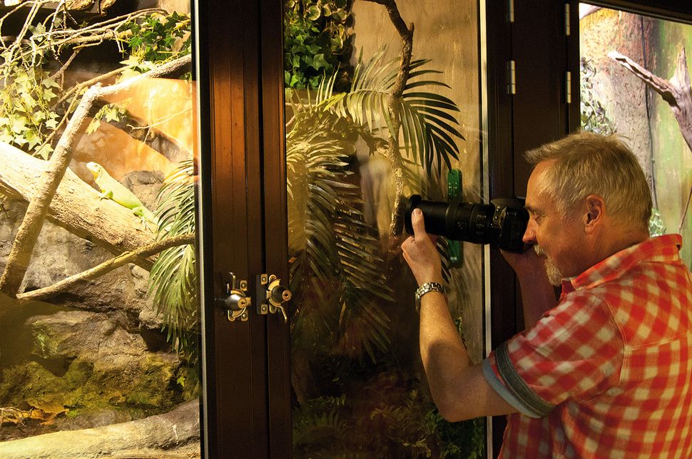 Zoo photography tips: how to get great pictures of animals | Digital ...