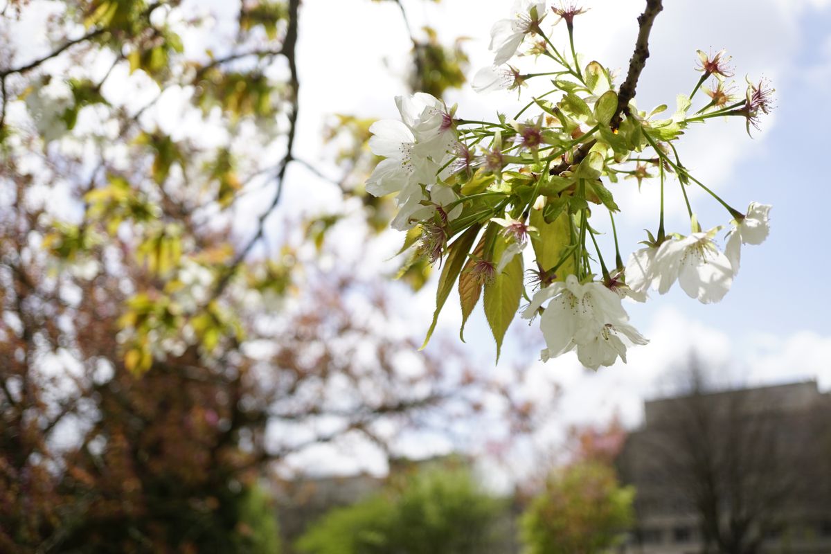 Sample images - Sony Alpha A6000 review - Page 4 | TechRadar