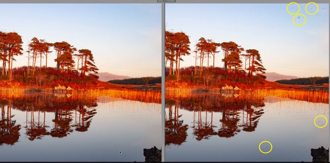 Topaz Photo AI review | Digital Camera World