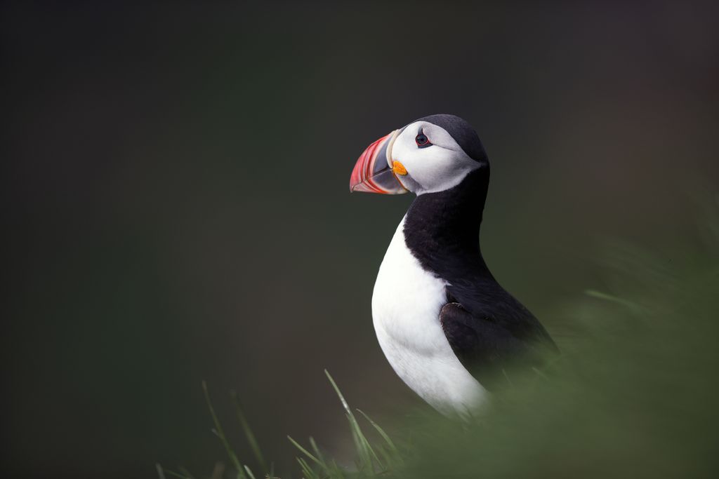 Meet Lucia Griggi, the surf and aerial photographer afraid of open ...