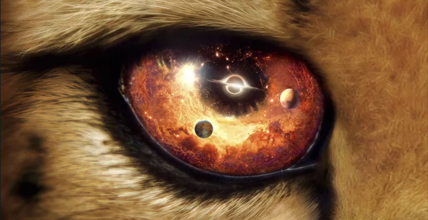 Exclusive: Netflix's new 'Our Universe' docuseries combines natural ...