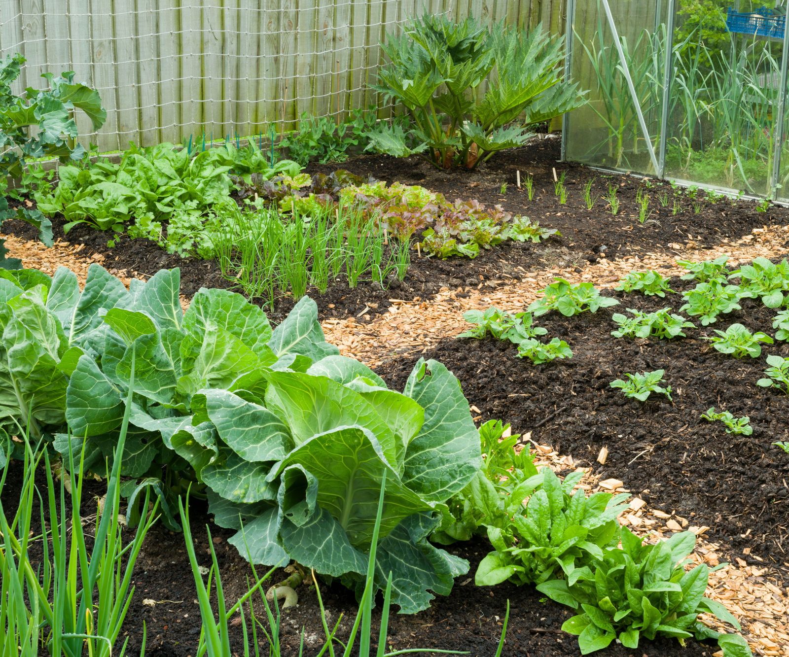 What is the best organic mulch for a vegetable garden? | Homes and Gardens