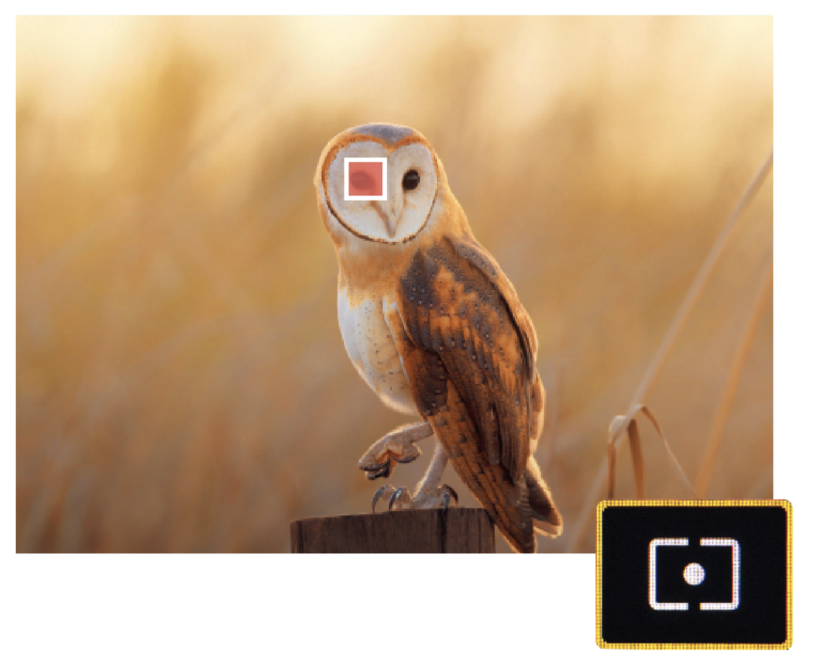 Photography cheat sheet: how to use manual exposure mode | Digital ...