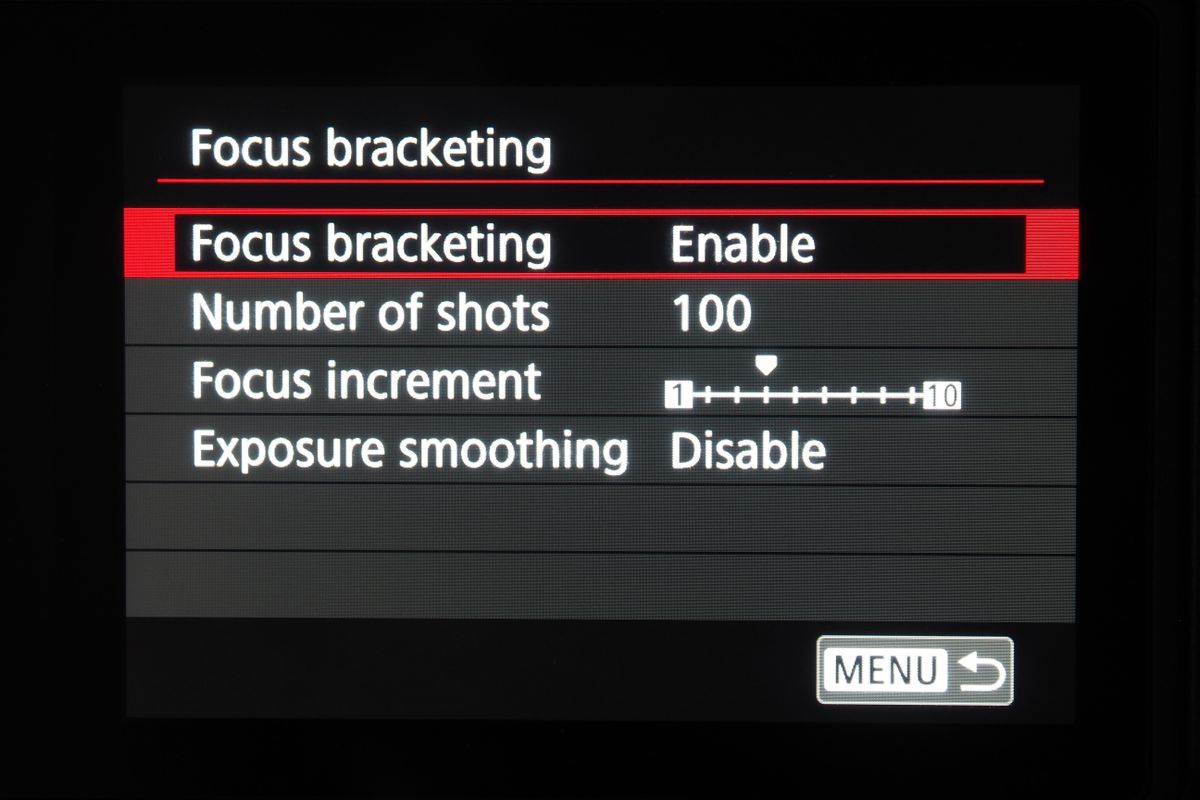 Home photography ideas: Master focus bracketing & focus stacking macro ...