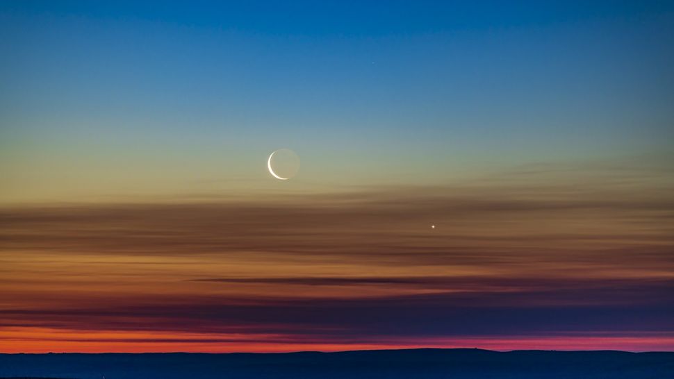 Venus is now a beacon in the early morning sky. Here's how to see it ...