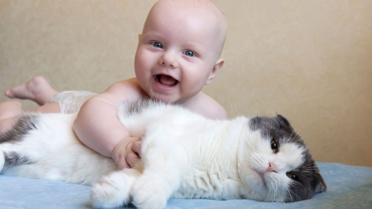 How to introduce cats and babies for the first time | PetsRadar