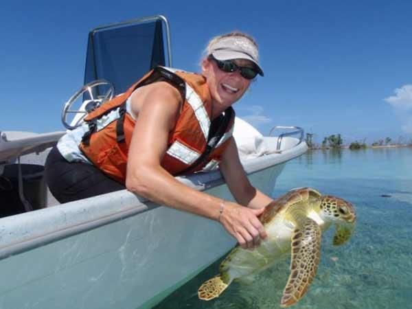 Tagging and Tracking Sea Turtles | Live Science