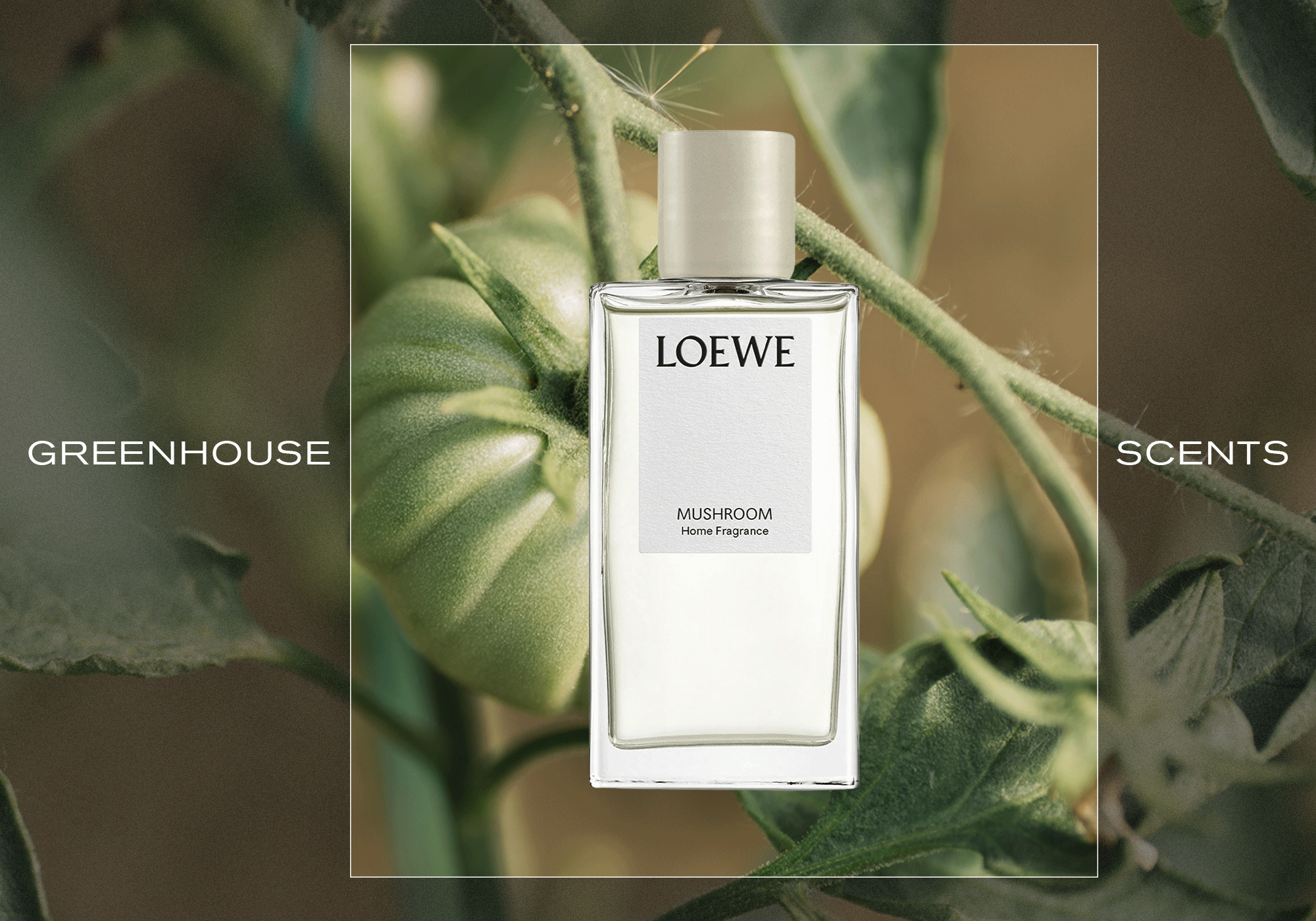 The Biggest Perfume Trends of 2024, According to Experts | Who What Wear