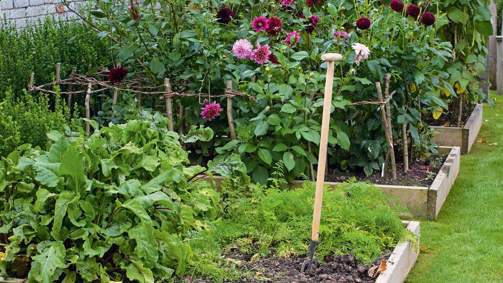 Monty Don’s tips for building raised beds in the garden | Homes and Gardens