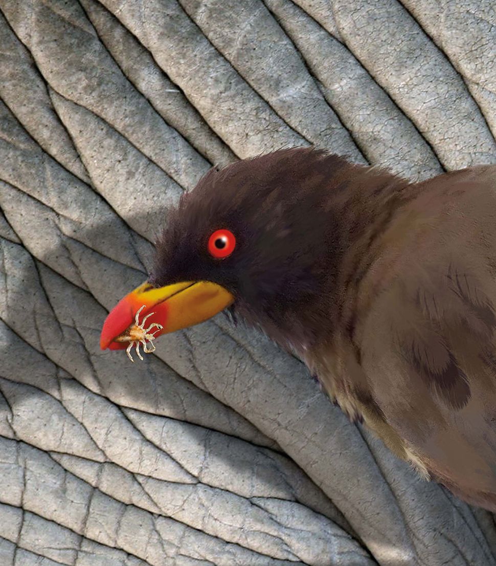 Astrophysicist Caleb Scharf Digs Deep into 'The Zoomable Universe' | Space