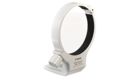 Canon EF 70-300mm f/4-5.6L IS USM review | Digital Camera World