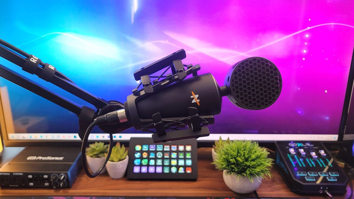 Neat Microphones King Bee II Review: Good Value, Natural Sound | Tom's ...