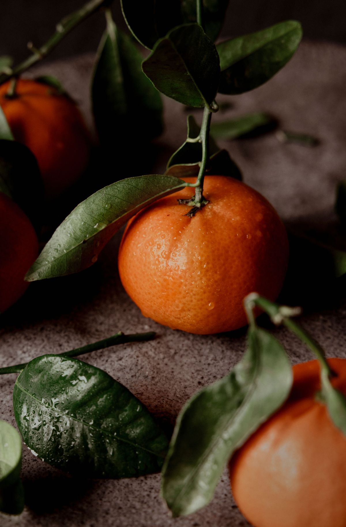 Bea Lubas whets our appetite for her talk on food photography at TPVS ...