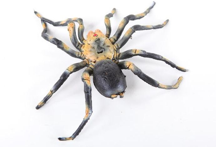 12 iconic Breaking Bad props you can actually own | The Week