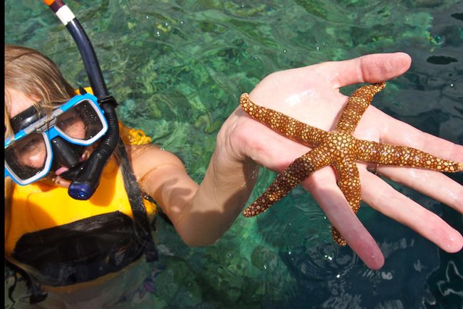 Palawan Photos: The Philippines Biodiversity Frontier | Live Science