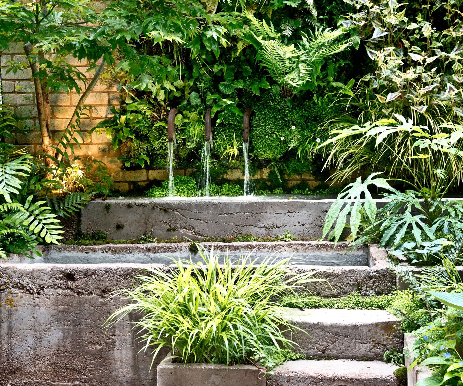 Landscaping with ornamental grasses – 6 inspirational ideas | Homes and ...