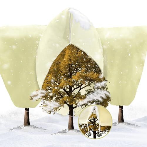 How to protect avocado trees in winter: expert plant advice | Homes and ...