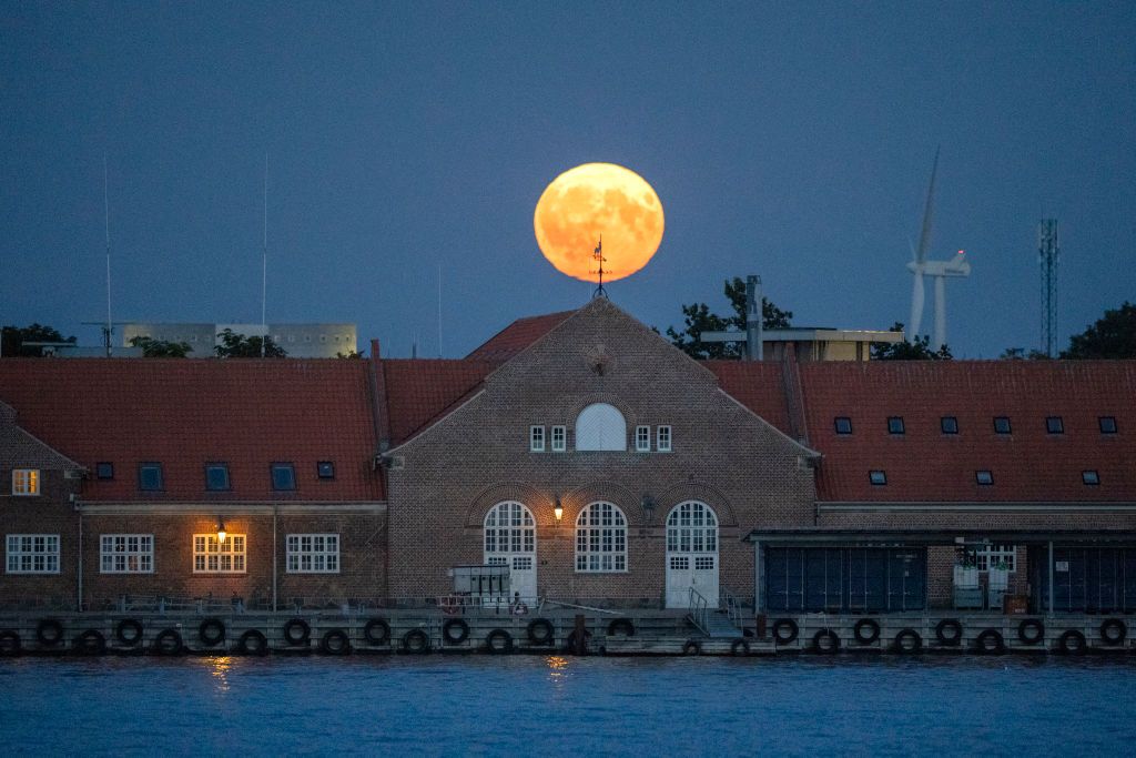 Supermoon Blue Moon 2024 — Top photos from around the world | Space