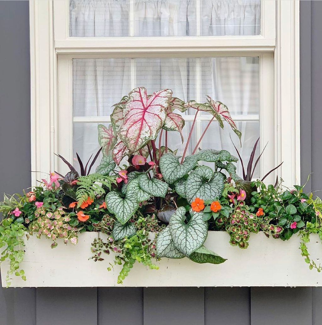 Window box ideas to boost your home's curb appeal | Livingetc