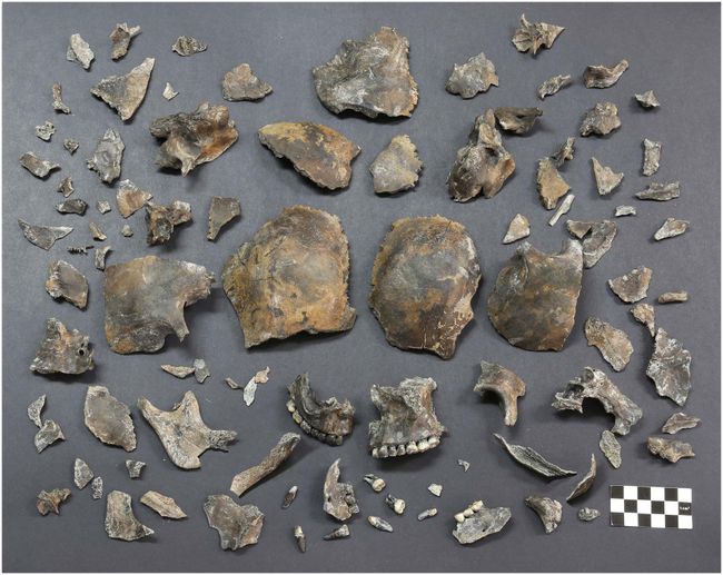 In Images: An Ancient Long-headed Woman Reconstructed | Live Science