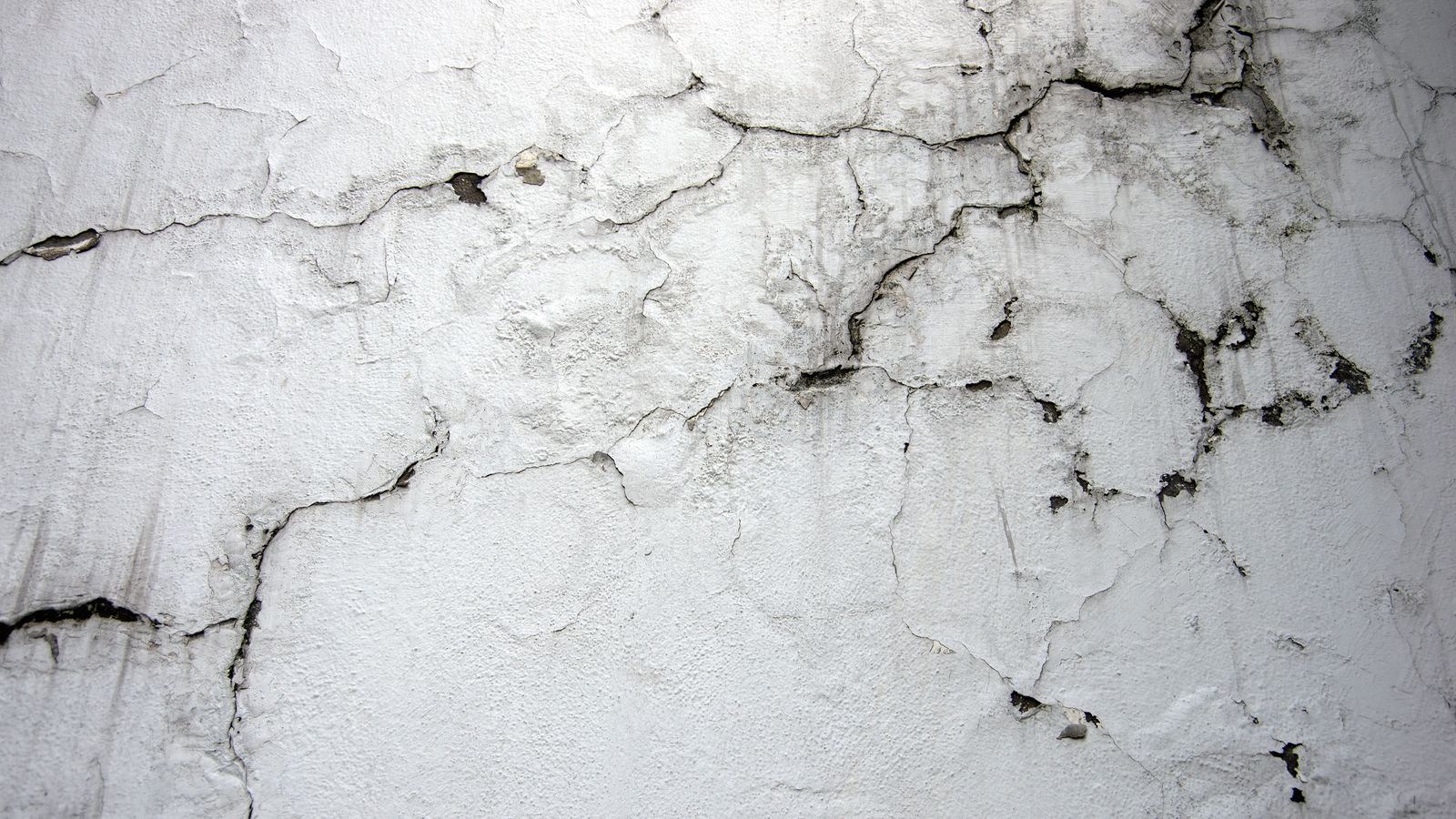 How to get rid of black mold – an expert guide | Real Homes