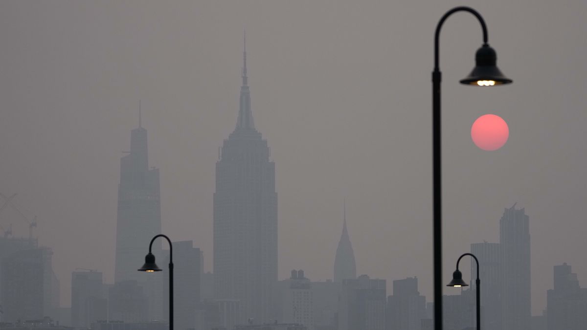 New York City wakes up in a haze, a frog puffs its cheeks, and more ...
