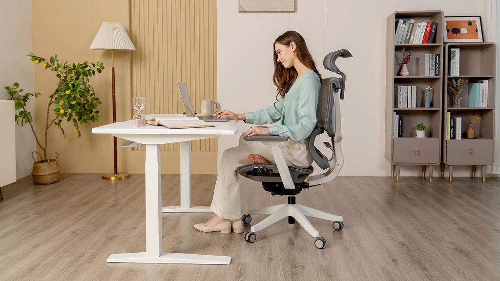 FlexiSpot E7 Pro Standing Desk Review: strong and aesthetically ...