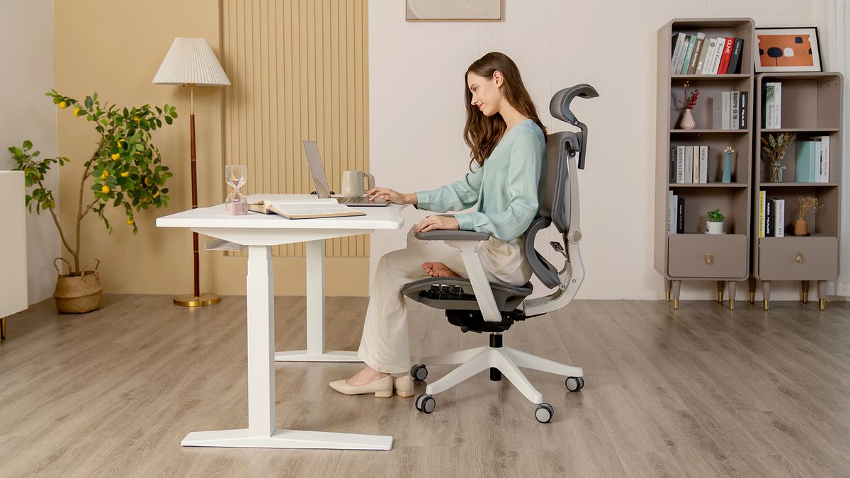 FlexiSpot E7 Pro Standing Desk Review: strong and aesthetically ...