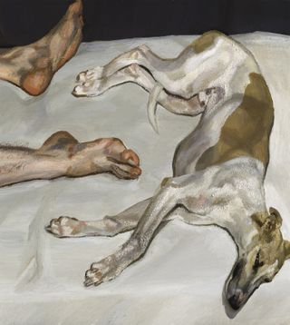 Canine muses: Lucian Freud's etchings of Pluto the whippet are among ...