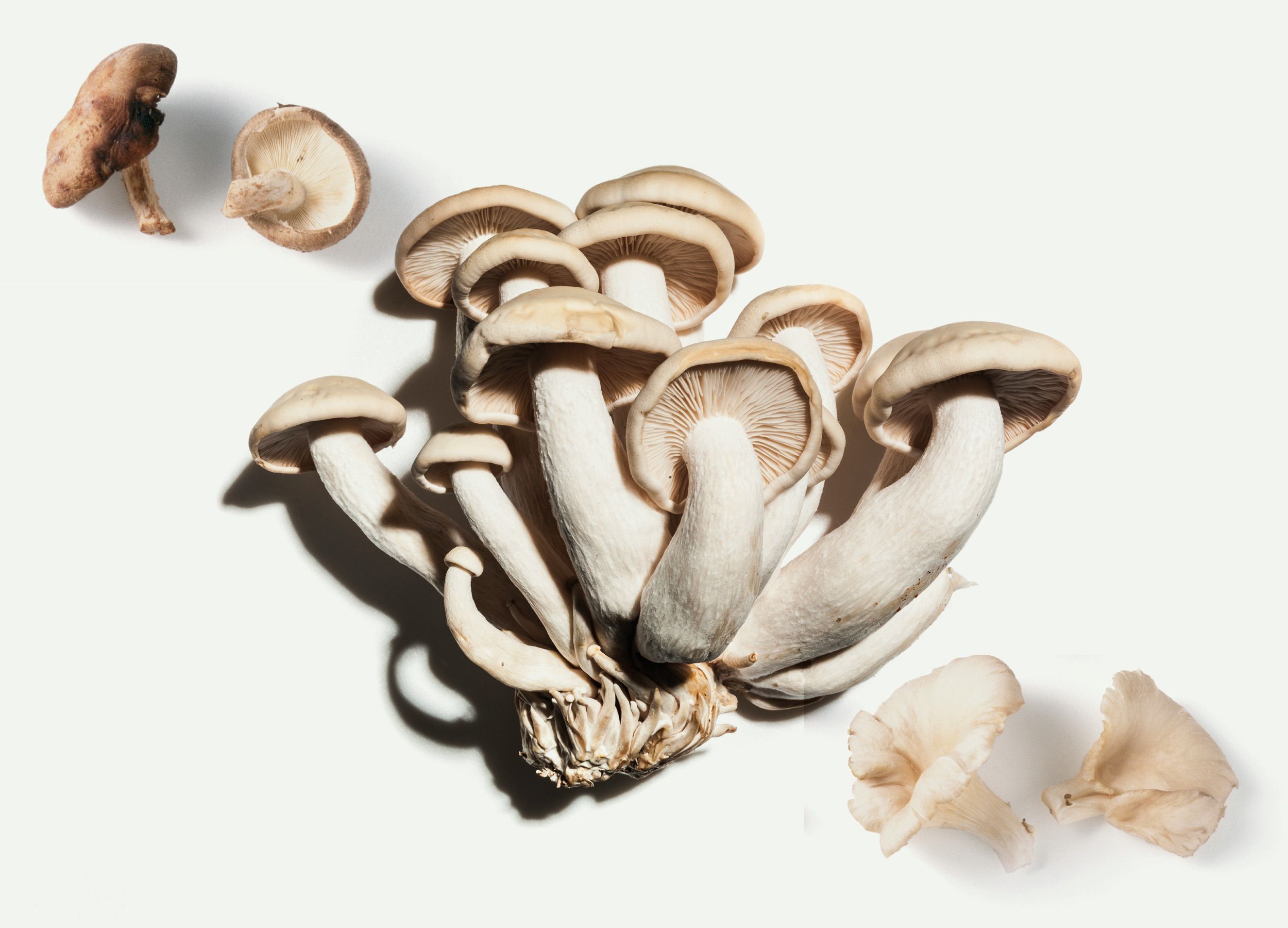 Wellness trends 2023: What to expect inc. shrooms & safe sex | Marie ...
