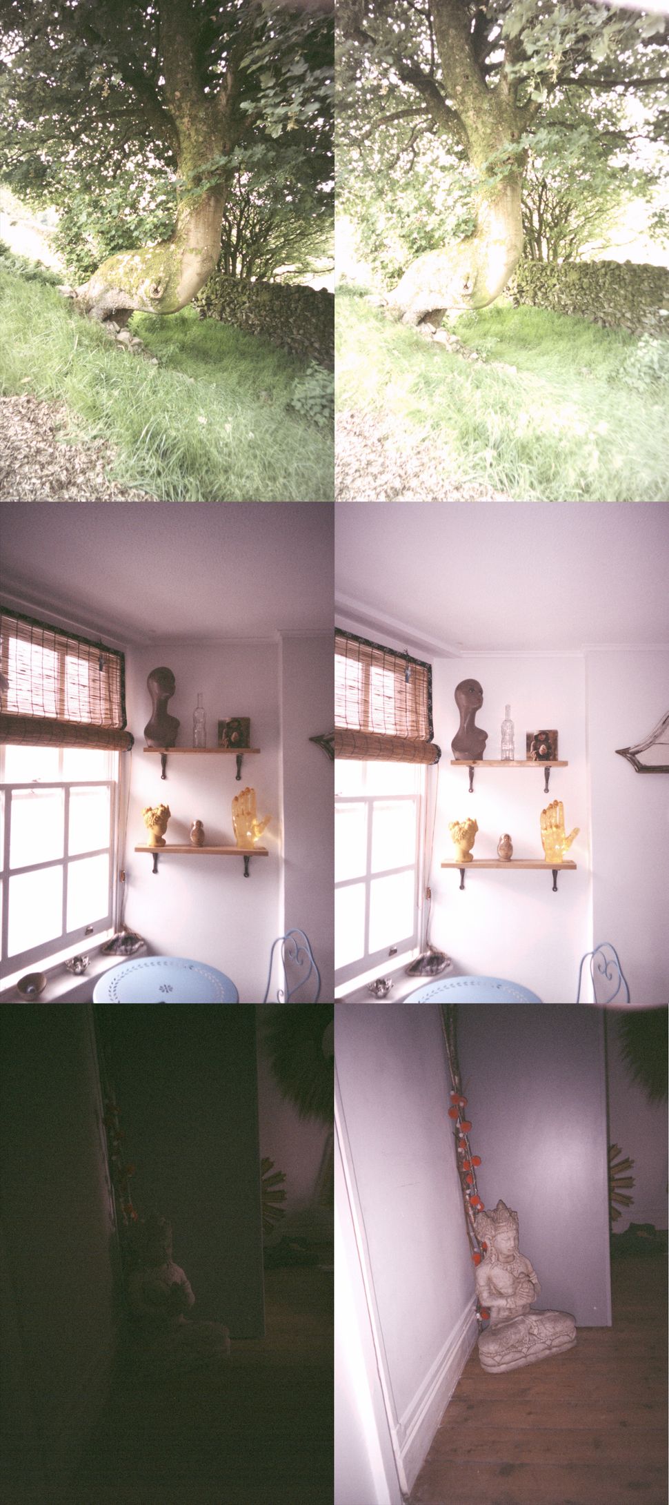 Flashback One35 review: the disposable film camera experience – but 100 ...