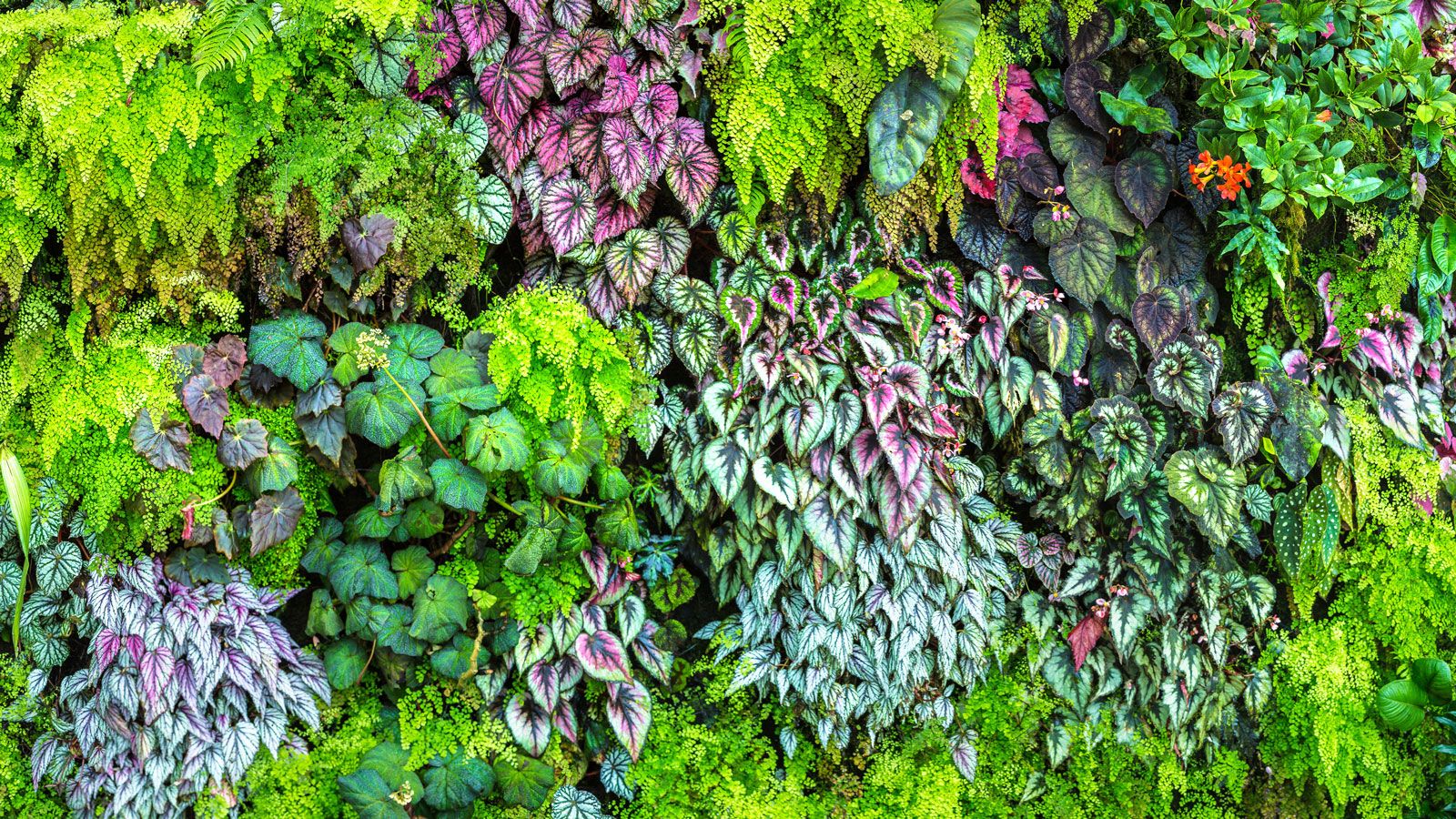 Vertical Gardening: Grow Up With 3 Vertical Growing Methods | Gardening ...