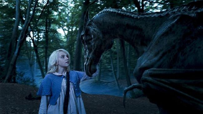 10 Ways To Get Around In the Harry Potter Universe, Ranked | Cinemablend