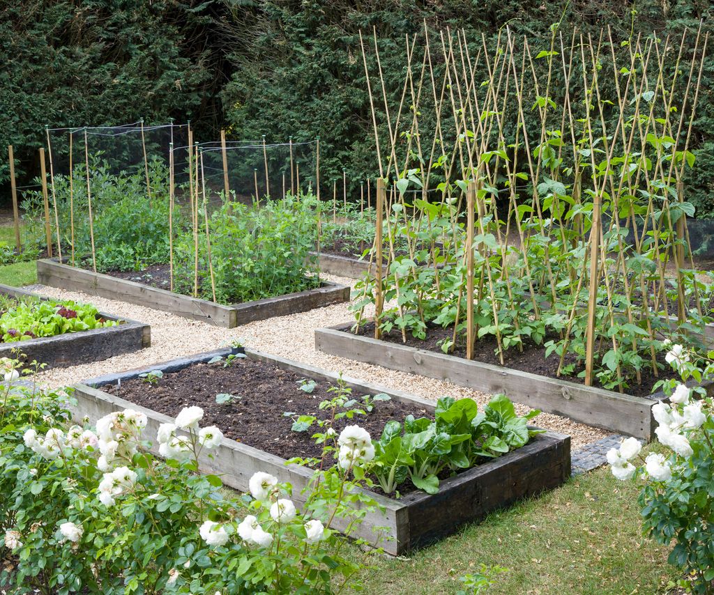 11 garden trends that will grace our outdoor spaces in 2026 | Homebuilding