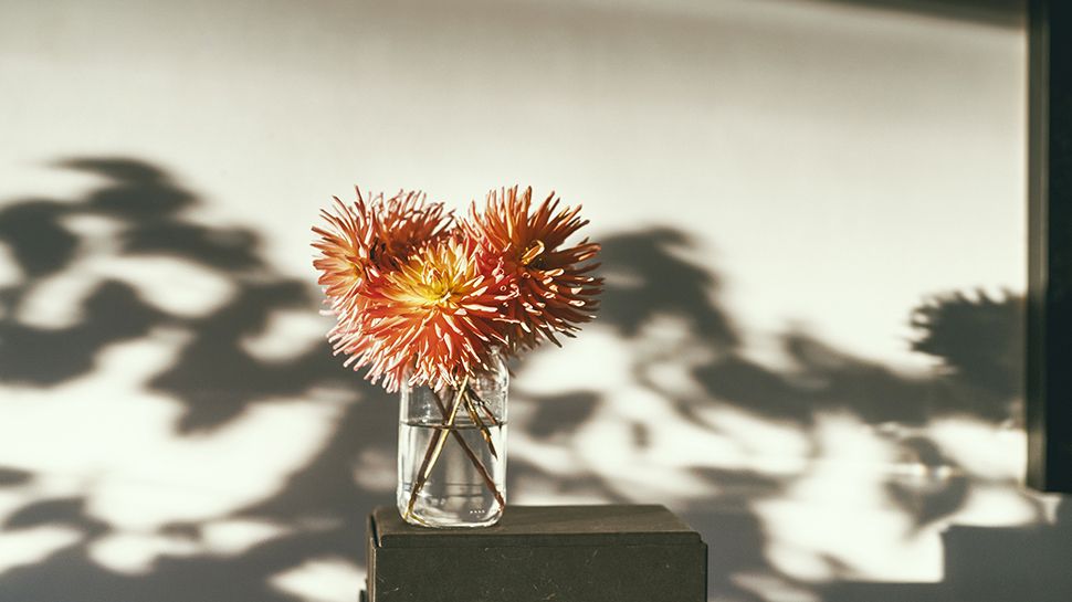 I shot this dramatic golden hour photo without leaving home | Digital ...