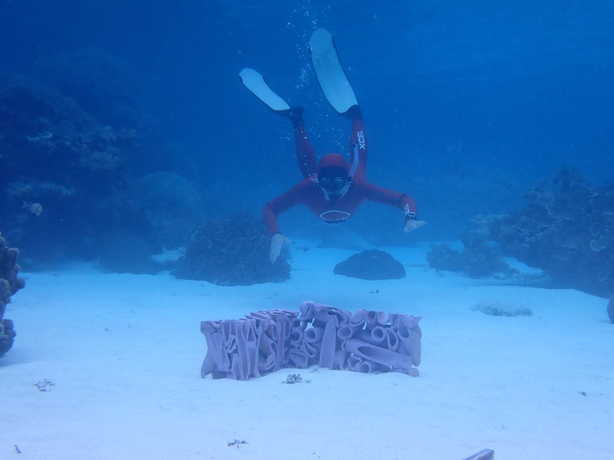 Superflex's Super Reef aims to rebuild the underwater world | Wallpaper