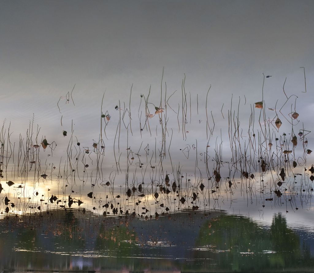 Israeli photographer Ori Gersht dives into Kyoto's gardens | Wallpaper*