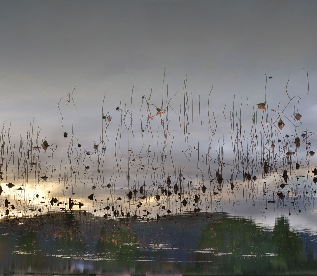 Israeli photographer Ori Gersht dives into Kyoto's gardens | Wallpaper