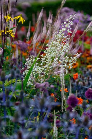 Isabel Bannerman: Gardens fade in the heat of high-summer, but it's ...
