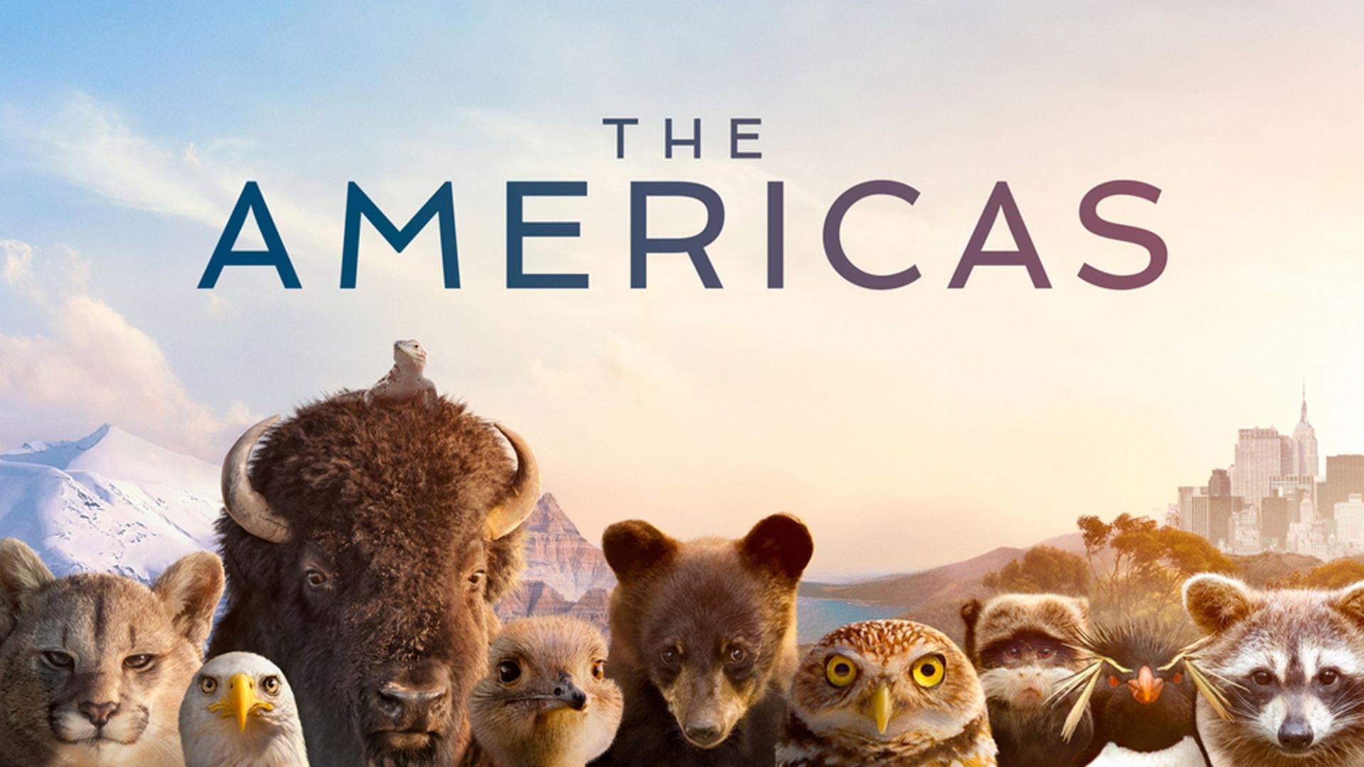 The Americas: release date, animals, locations, trailer more | What to ...
