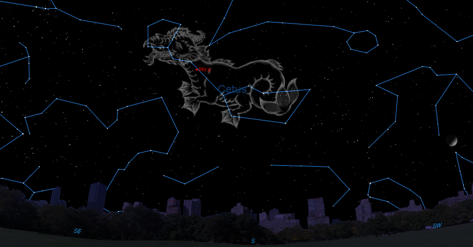 Autumn's celestial sea: Catch these 'water' constellations in the night ...