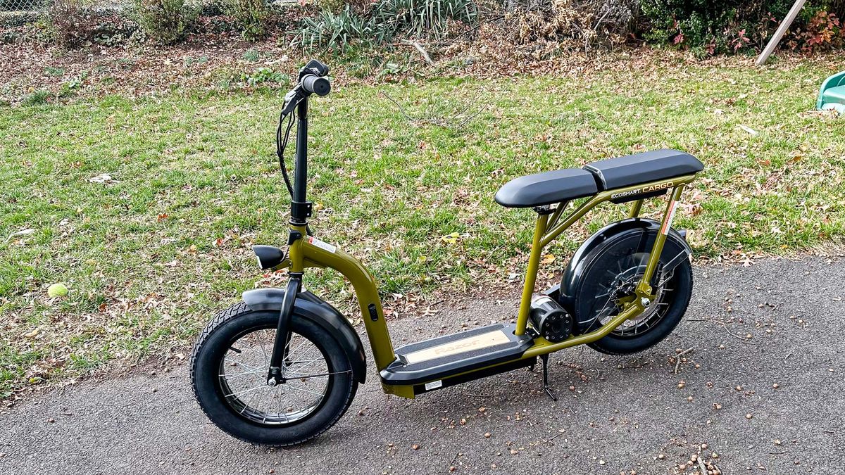 Razor EcoSmart Cargo review: An electric scooter built for two | Tom's ...