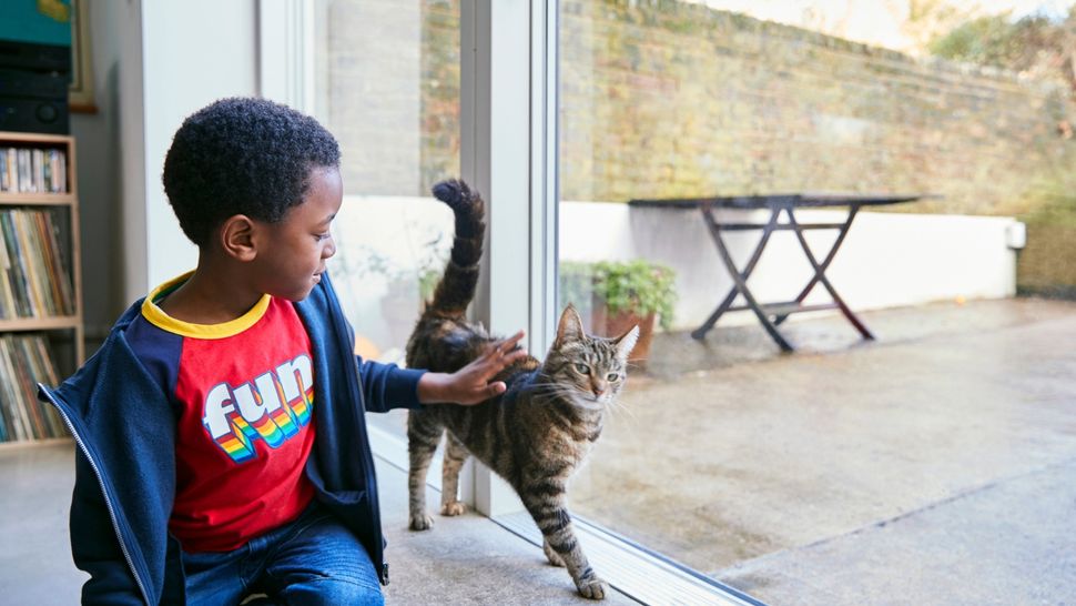 32 reasons to adopt a cat | PetsRadar