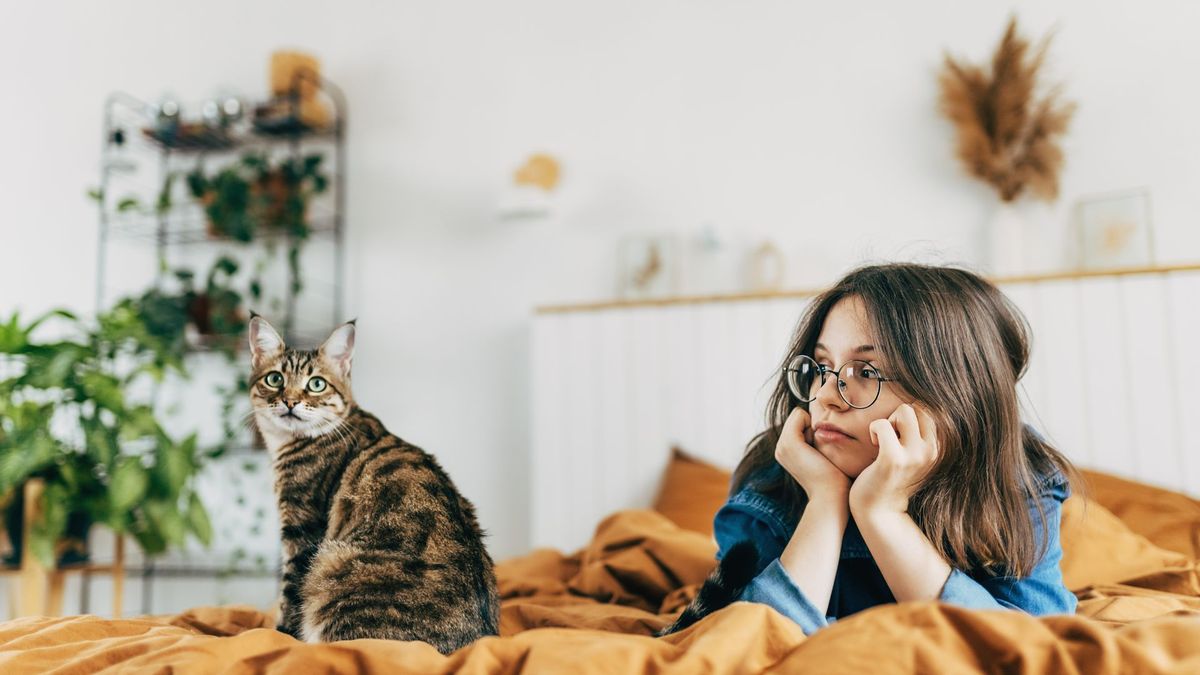 Do cats fart? What you need to know about feline flatulence | PetsRadar