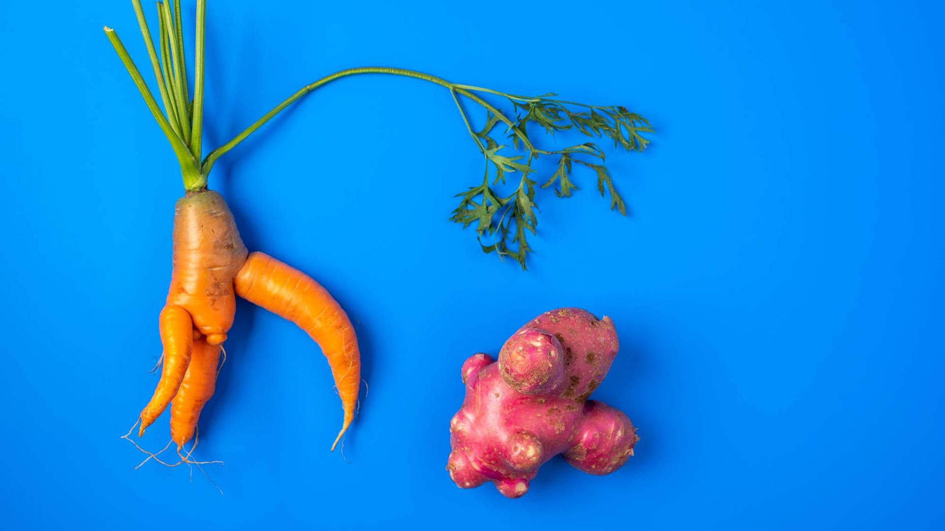 Why Ugly Vegetables are Actually Better for You | Gardening Know How