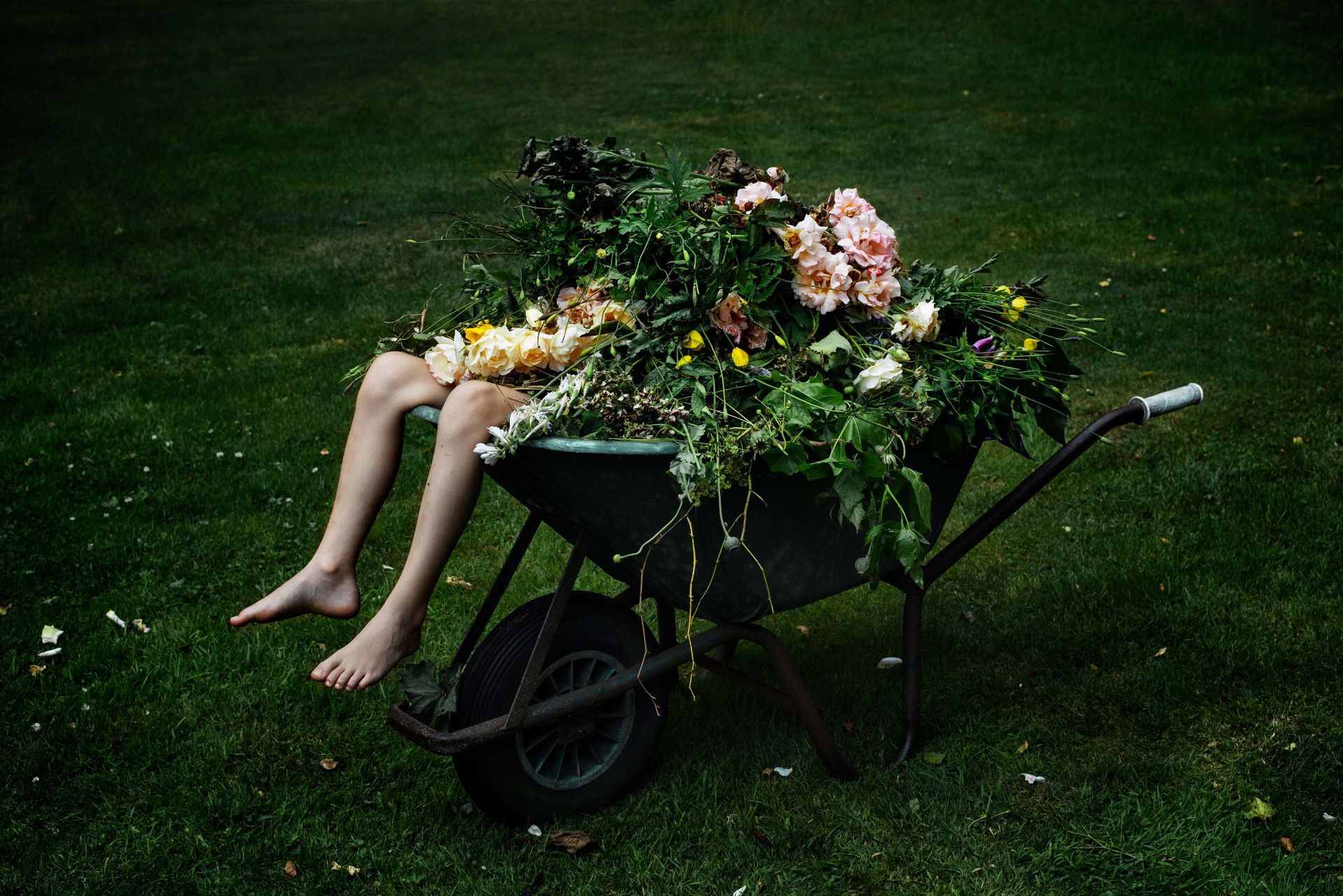 'Flowers: Flora in art and culture' opens at the Saatchi Gallery ...