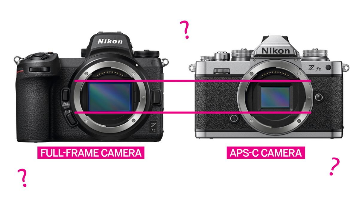Should you use a full frame or cropped sensor camera for bird ...