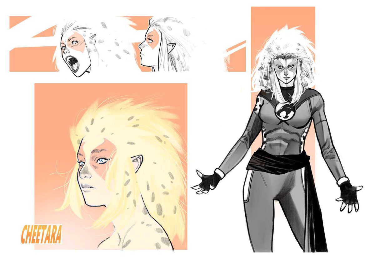 Cheetara takes the spotlight in her own ThunderCats spin-off comic ...