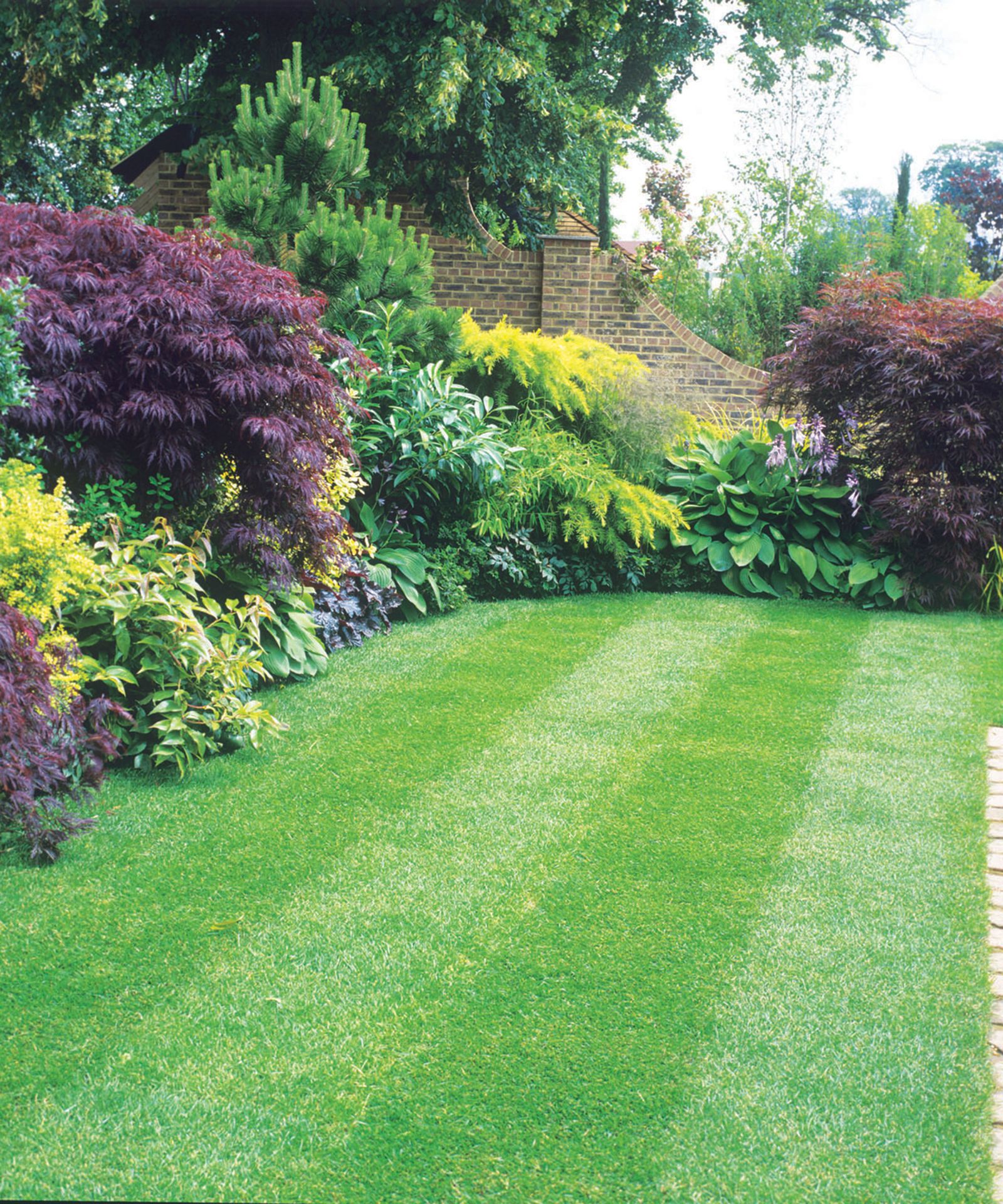 When is the best time to apply lime to a lawn? | Gardeningetc