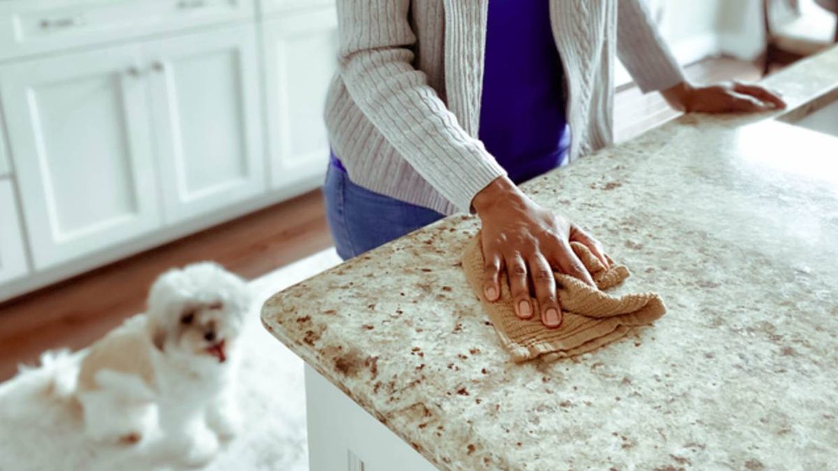 10 eco-friendly pet products that are kind to the planet | PetsRadar